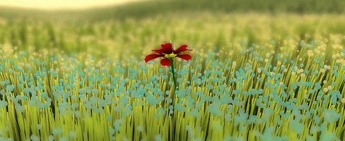 Flower creator: Gaming "decisions are based on who has the better ...