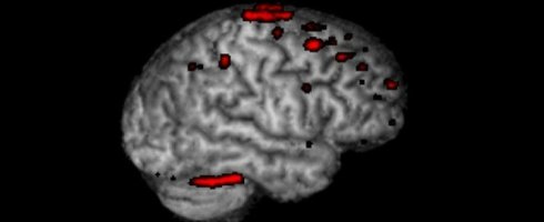 Study: Brain MRI while gaming allows scientists to "map the ethereal ...