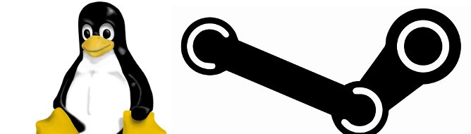 Steam for Linux limited access beta now available | VG247