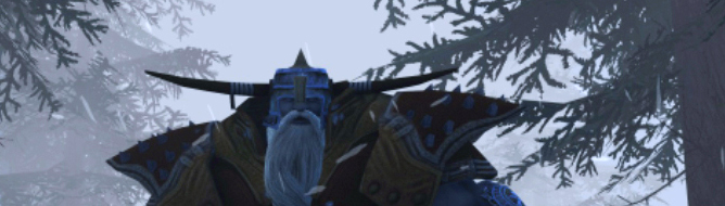 Here are some new Neverwinter Icespire screenshots | VG247