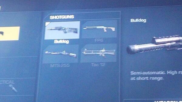 Call Of Duty Ghosts Shotguns