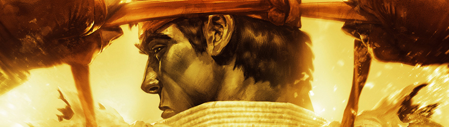 Ultra Street Fighter 4's new character is female, tipster teases ...