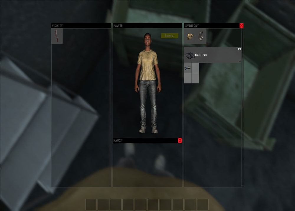 DayZ guide - the inventory | VG247