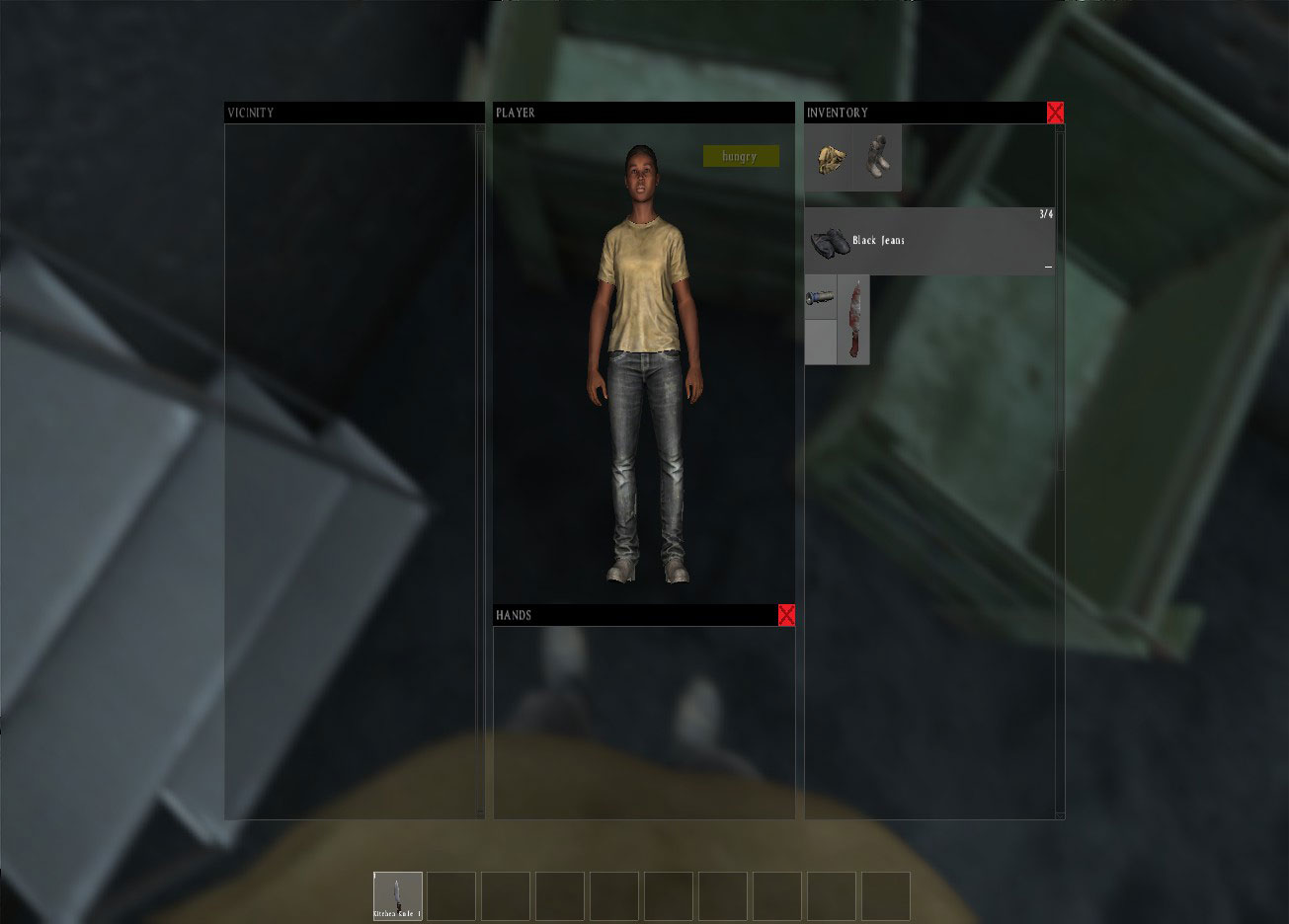 DayZ guide - the inventory | VG247