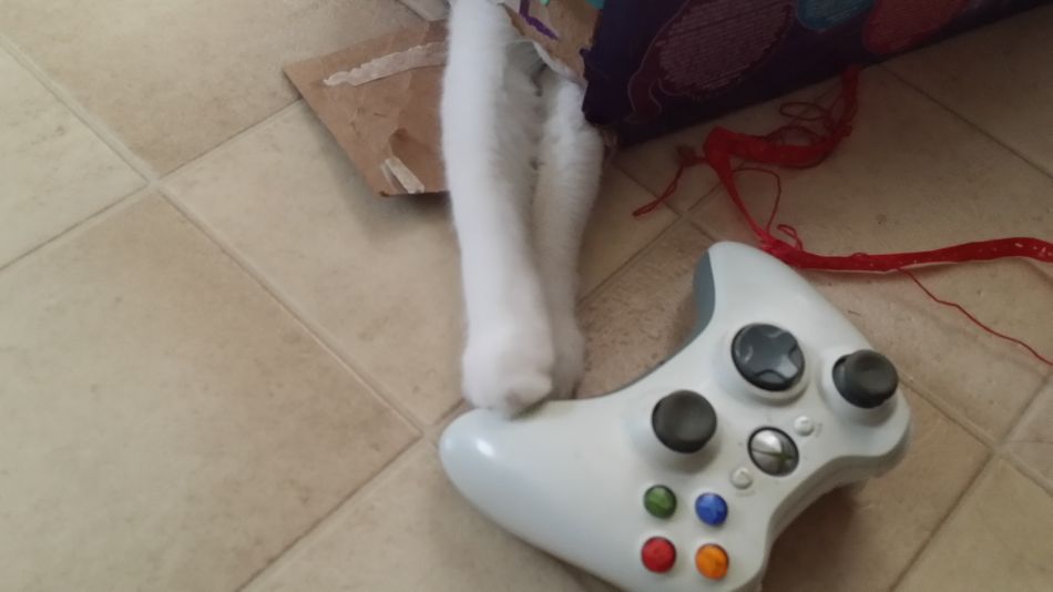 Animals with game controllers: how I failed trying to emulate the ...