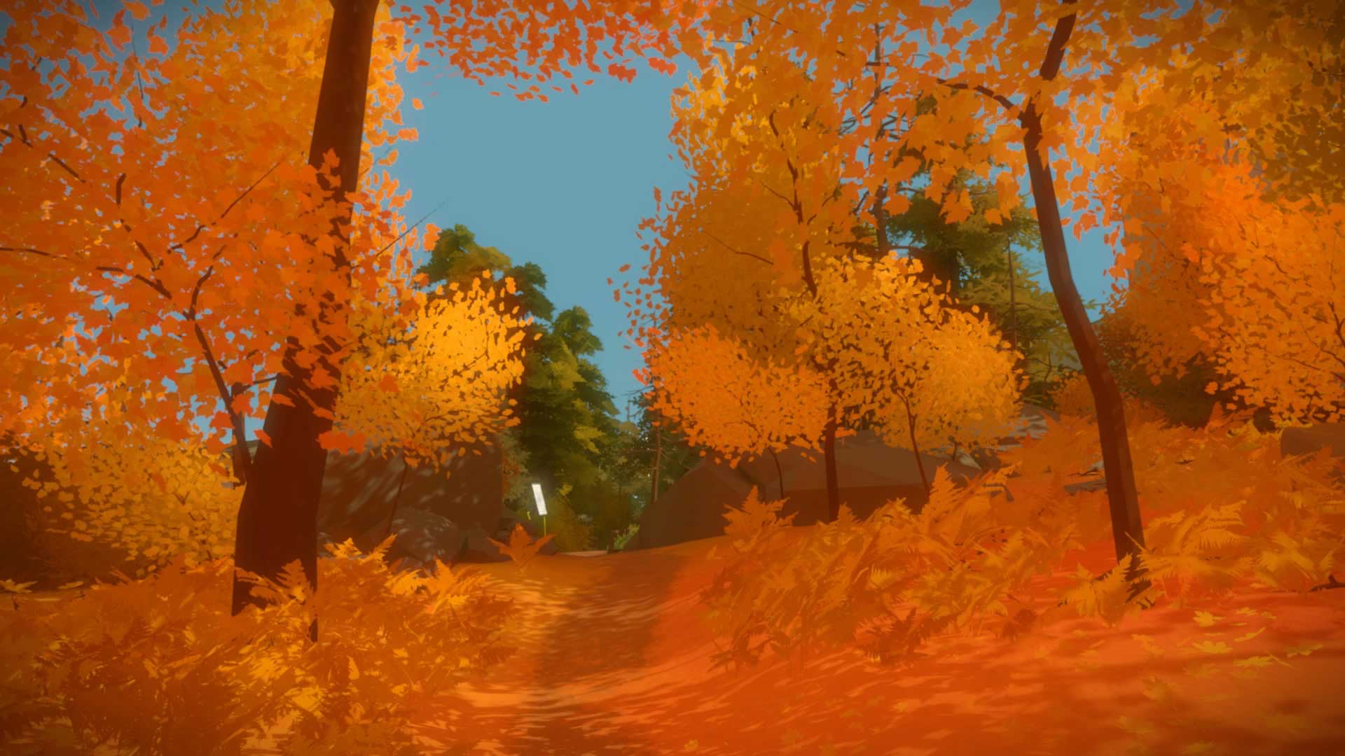 The Witness: Shady Trees laser and puzzle solutions | VG247