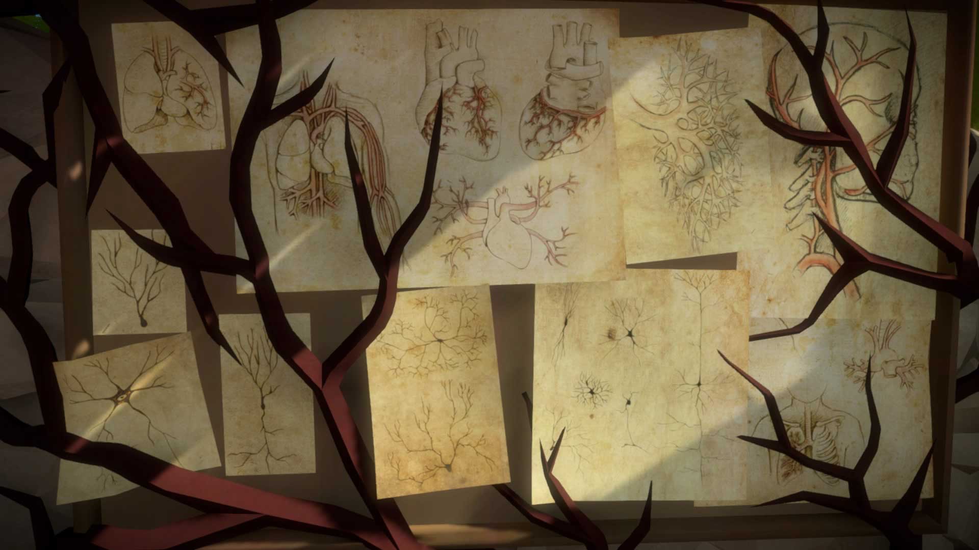 The Witness: Cherry Tree Orchard solutions | VG247