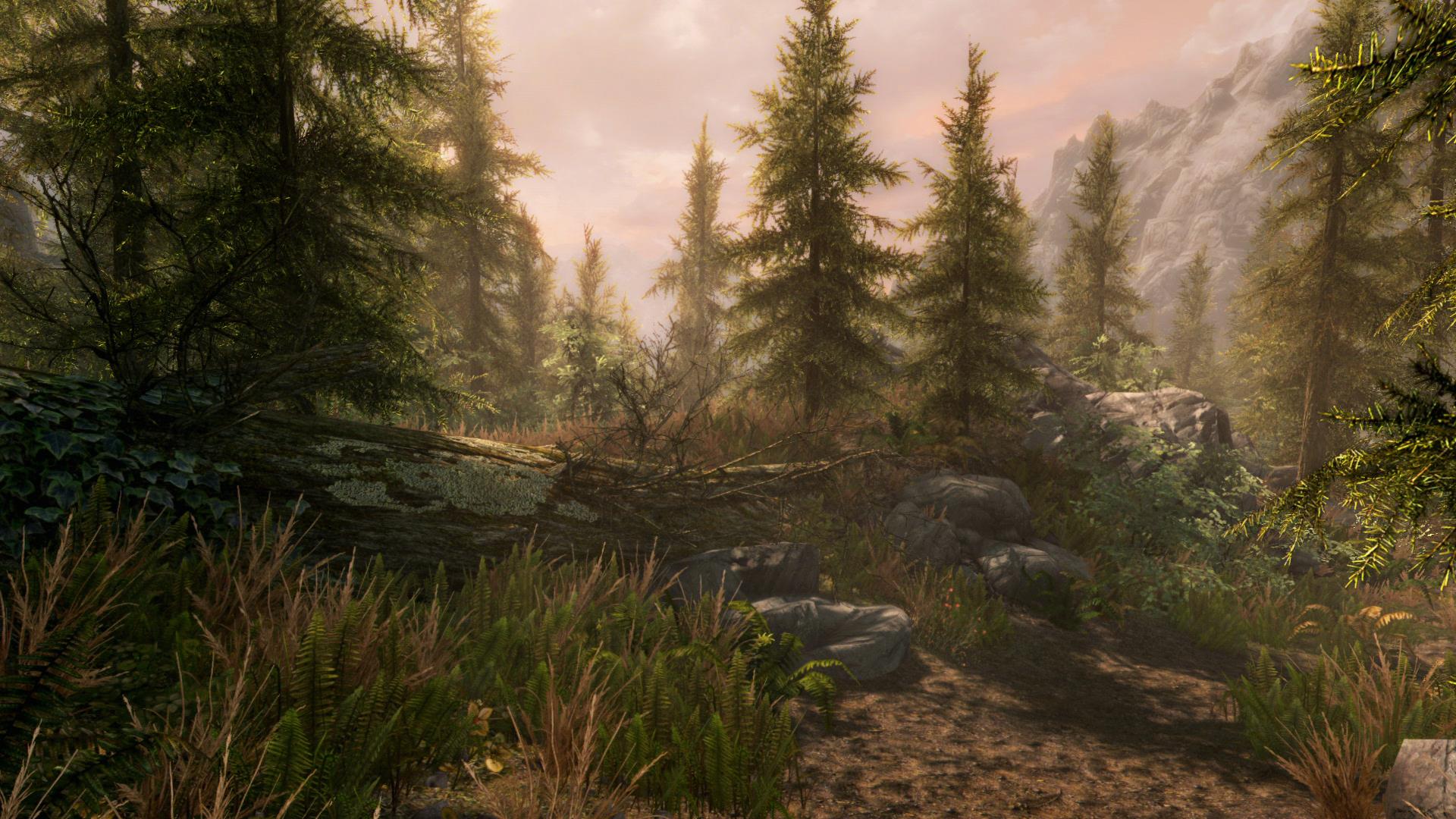 Here are a couple of screenshots from Skyrim Special Edition | VG247