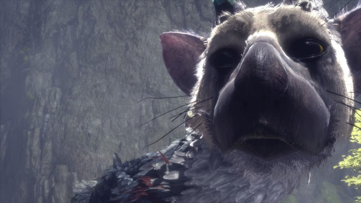 The Last Guardian walkthrough half 2: via the primary chamber, trapped ...