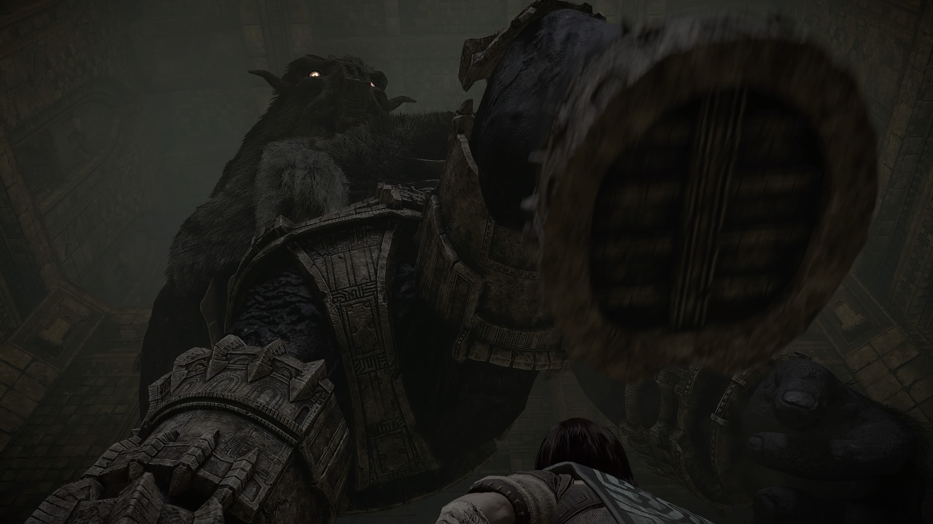 Shadow Of The Colossus Argus Face