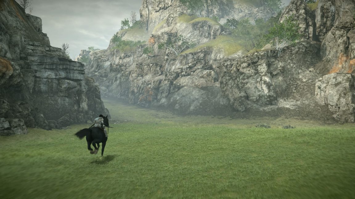 Shadow of the Colossus: how to beat Colossus 10 - Sand Worm | VG247