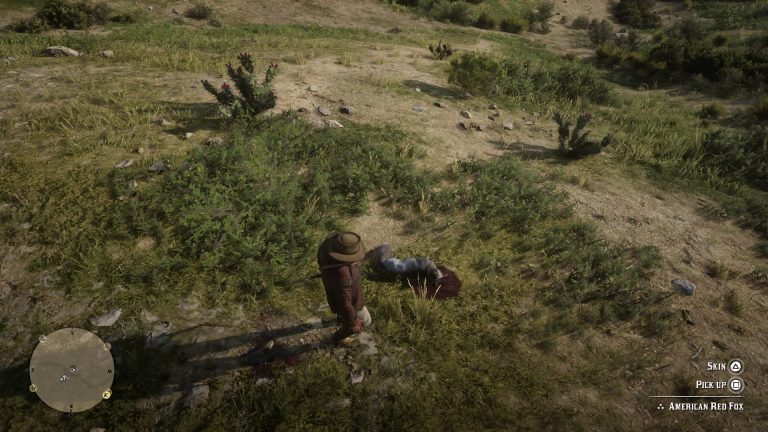 Red Dead Redemption 2 Pelts Guide - How to get perfect pelts, where to ...