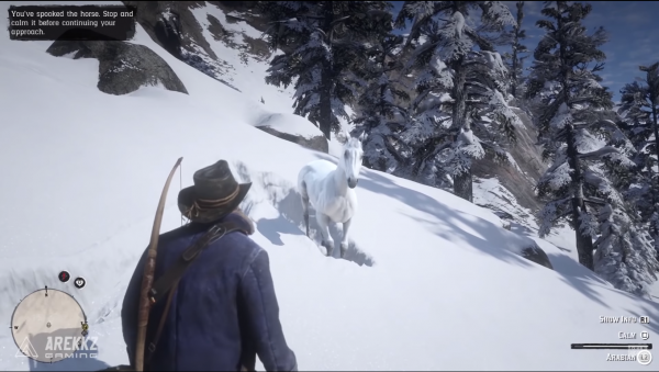 Red Dead Redemption 2: how to get the best wild horse | VG247