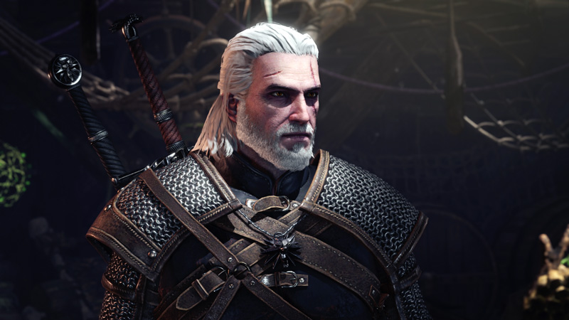 Monster Hunter World x The Witcher collaboration occasion will get ...