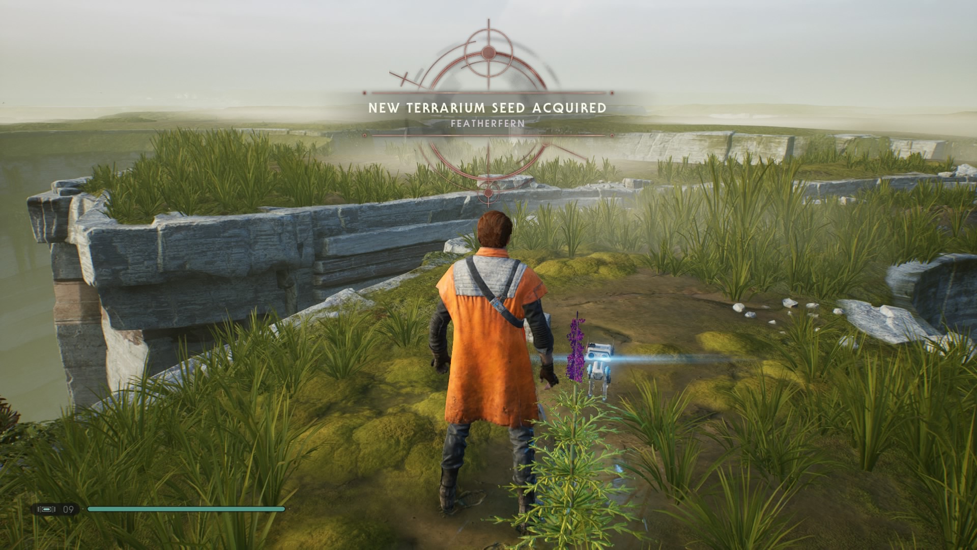 Star Wars Jedi: Fallen Order Terrarium guide - Where to find Seeds for ...