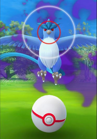 Shadow Legendary Pokemon