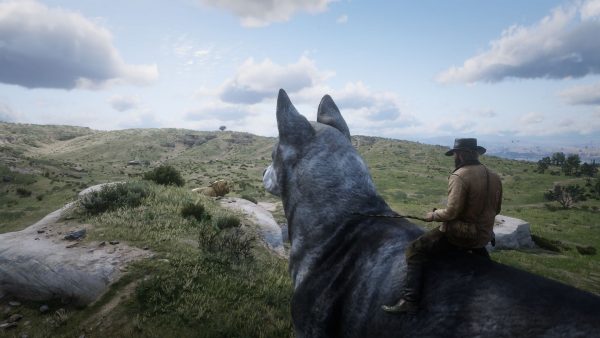 Ride a giant cougar or hog with this Red Dead Redemption 2 mod | VG247