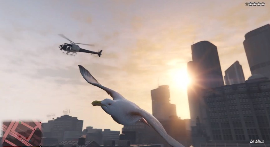 I grew to become the mafia’s ‘lookout seagull’, who communicates with ...