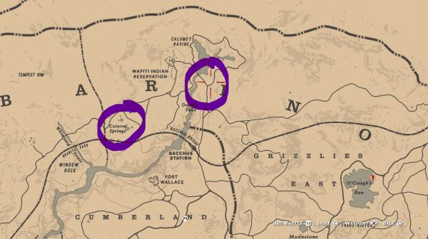 Red Dead Online Naturalist Guide: All Legendary Animal Locations and ...