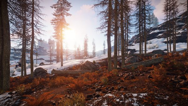 Rust | How to get stone on Console and PC | VG247