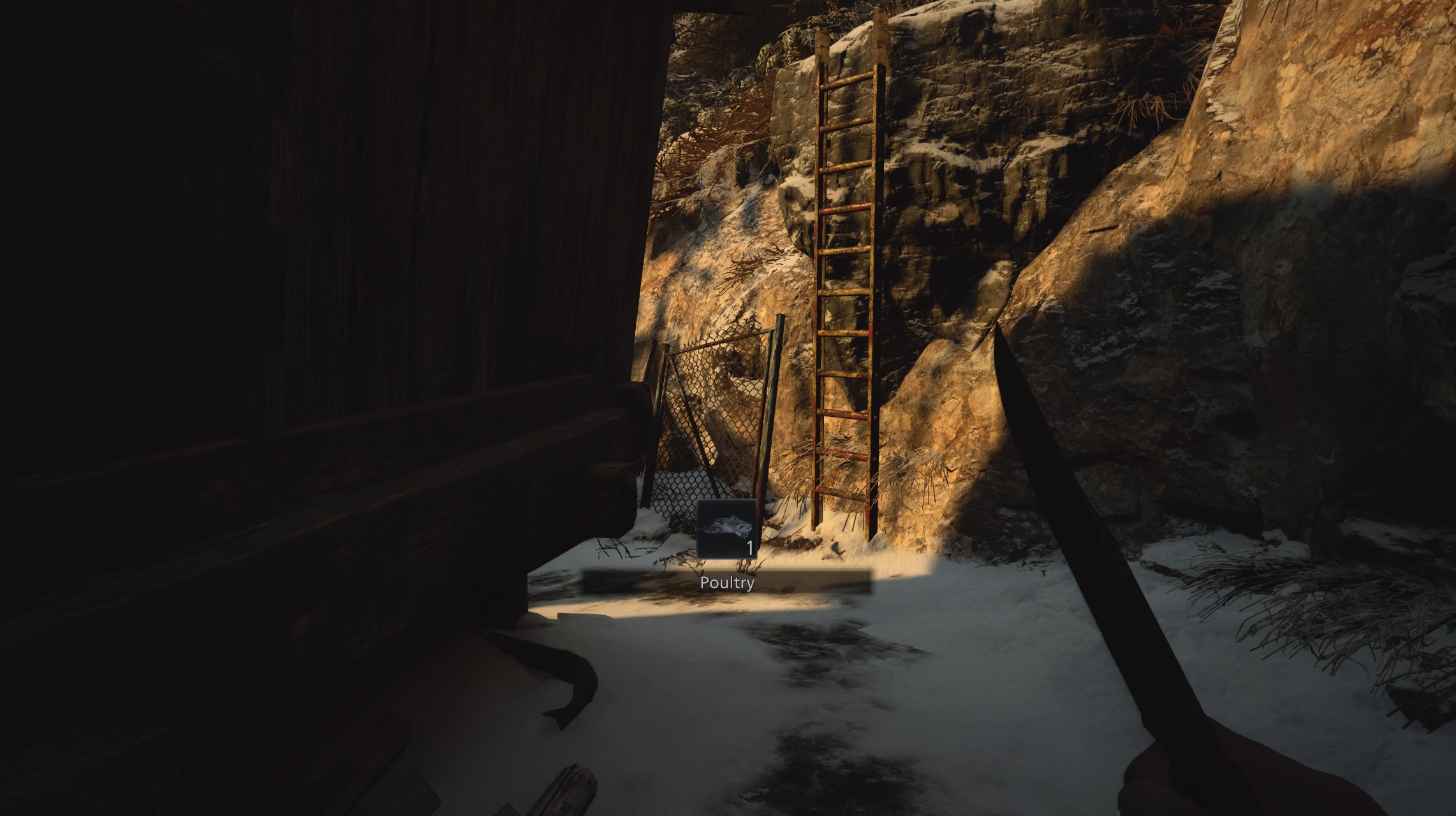 Resident Evil Village Necklace with Two Holes | Where to find the ...