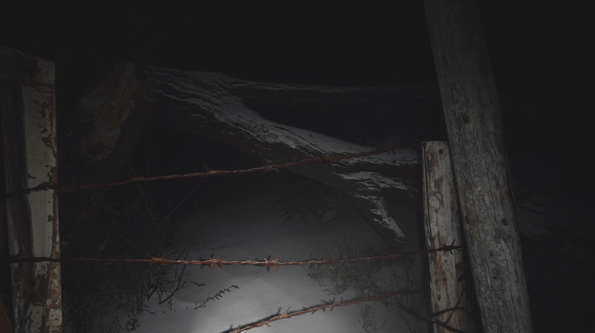 Resident Evil Village Walkthrough Part 1 | Into the Village, Luiza's ...